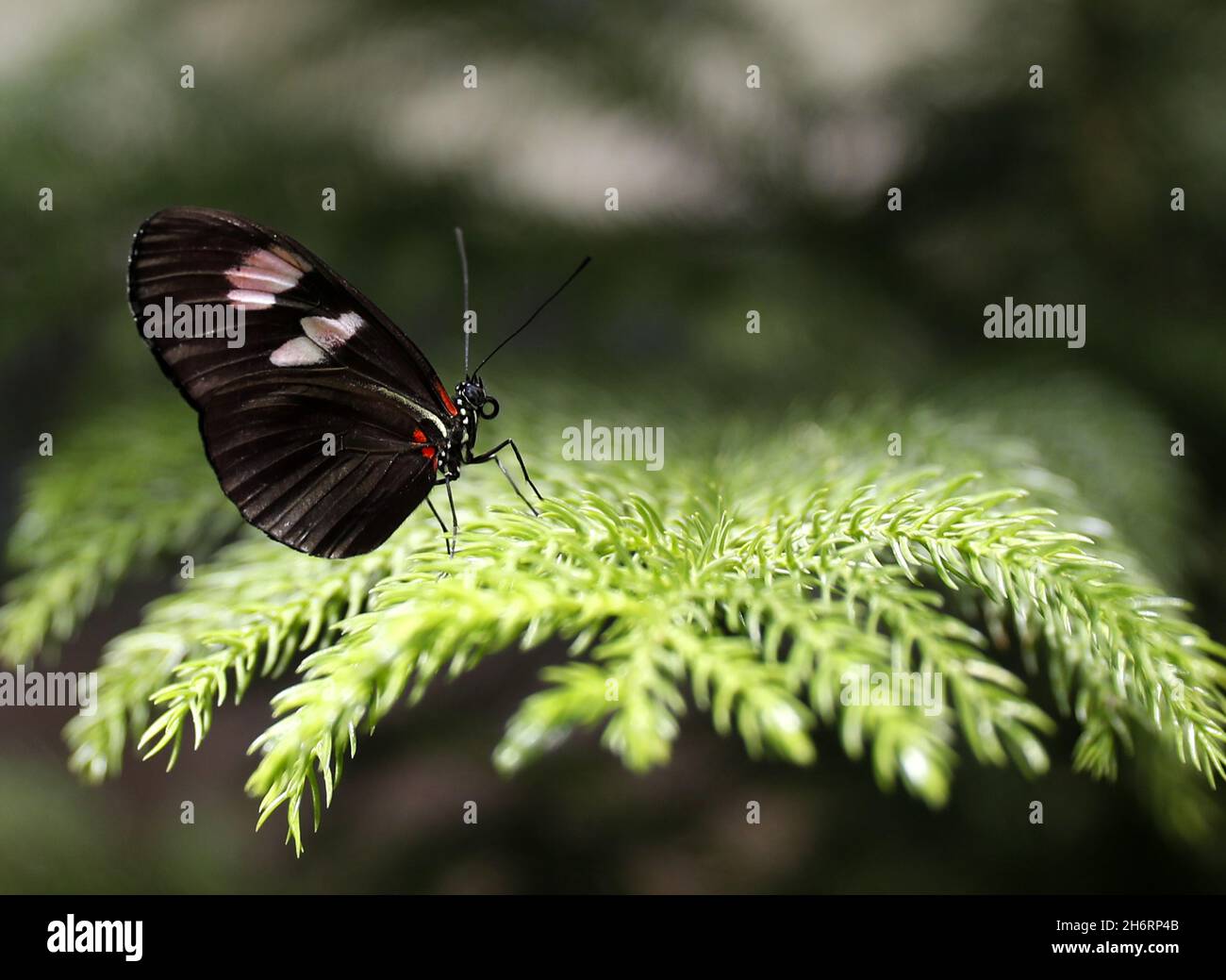 New York, United States. 17th Nov, 2021. Many species of live ...