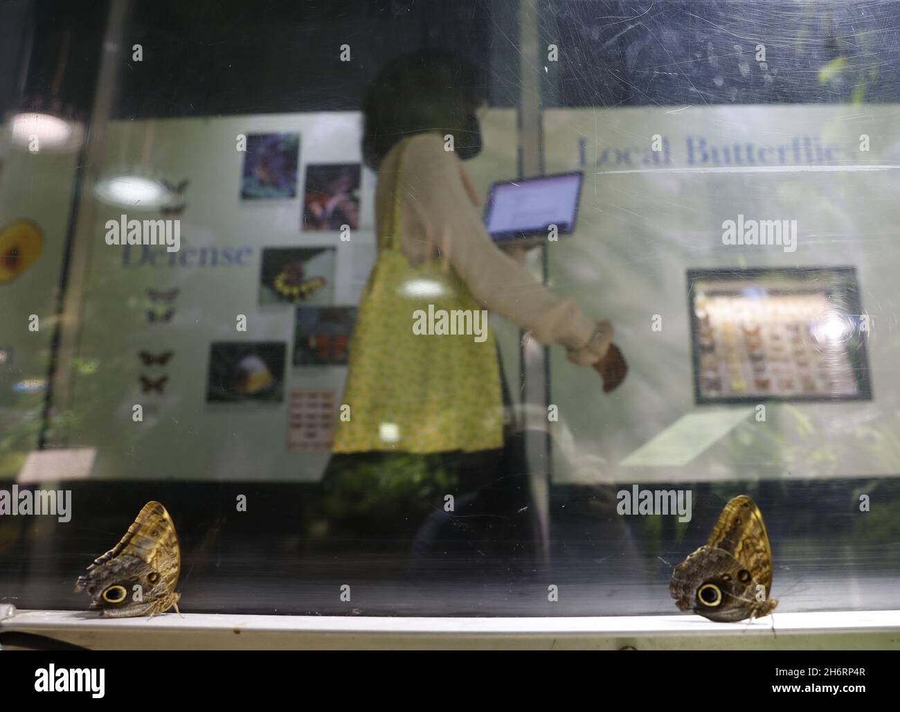 New York, United States. 17th Nov, 2021. Many species of live ...