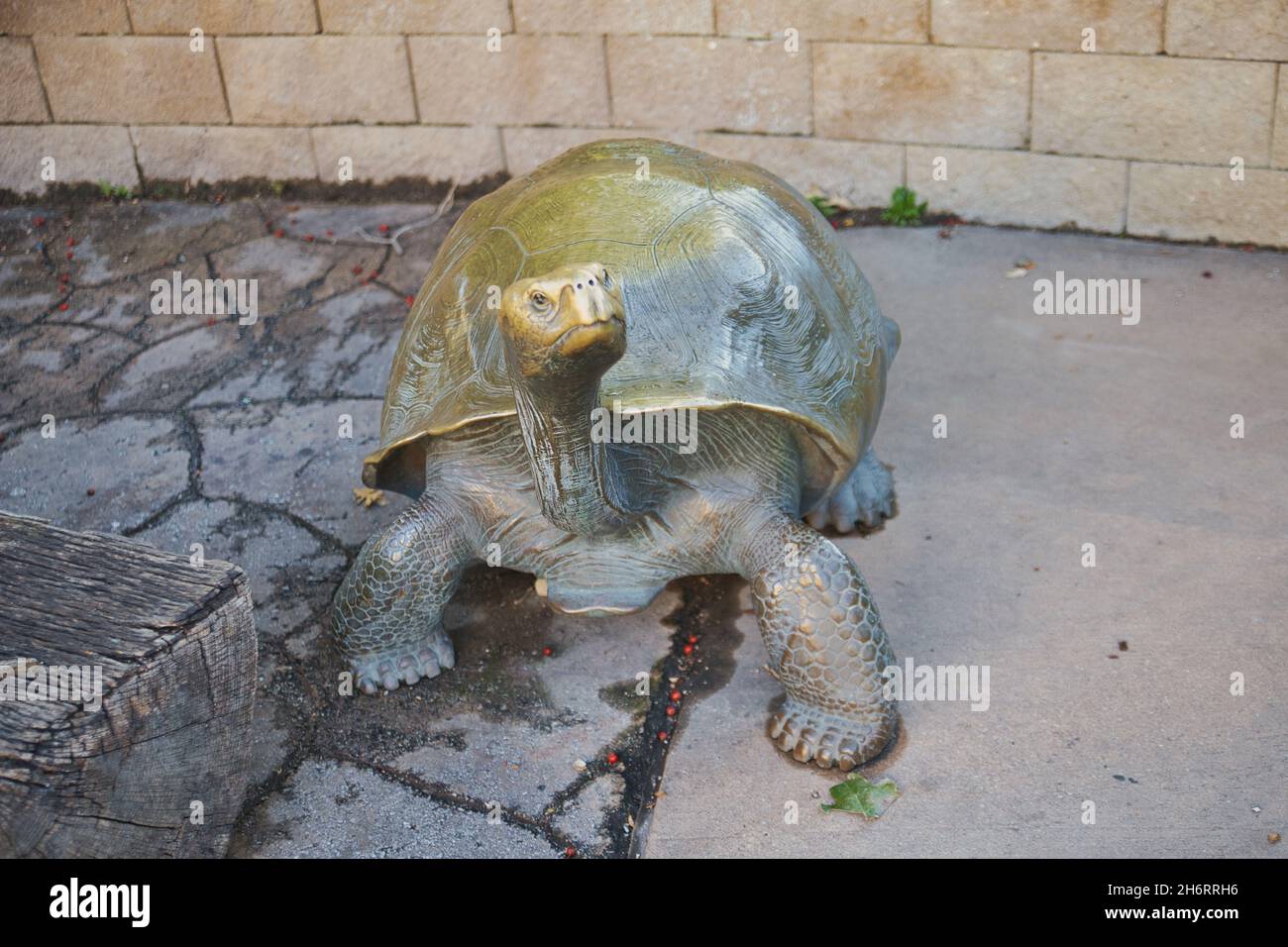 OMAHA, UNITED STATES - Oct 15, 2021: A Tortoise sculpture - Omaha's ...