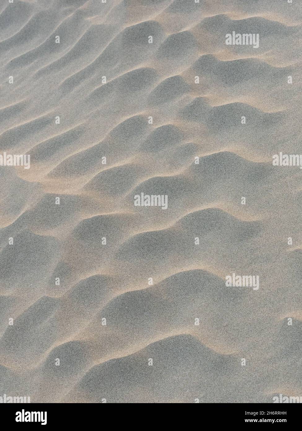 sand surface modeled by the wind creates waves pattern Stock Photo - Alamy