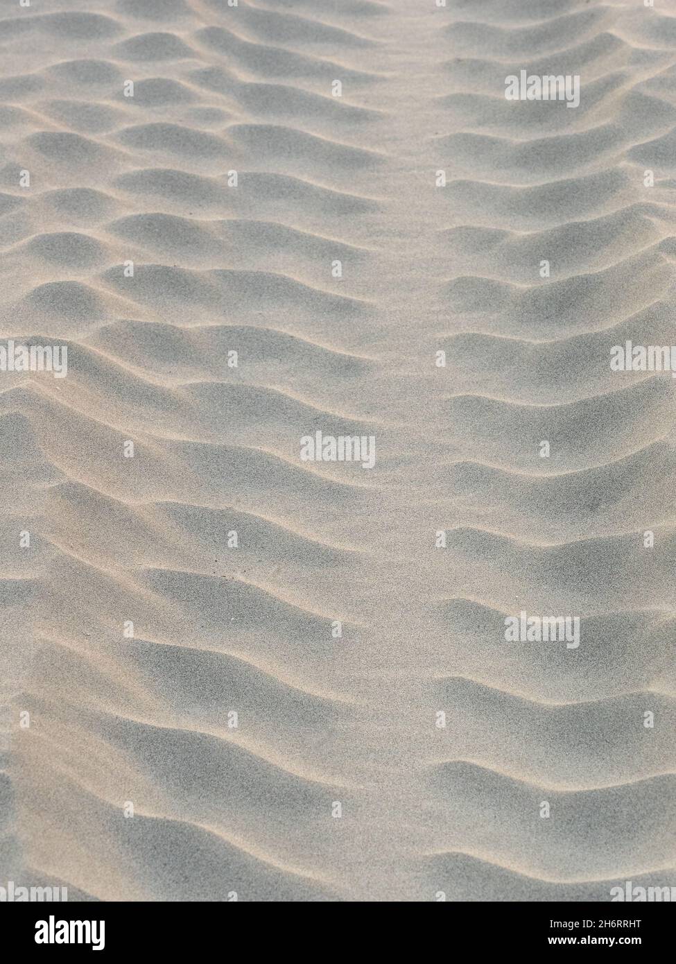 sand surface modeled by the wind creates waves pattern Stock Photo - Alamy