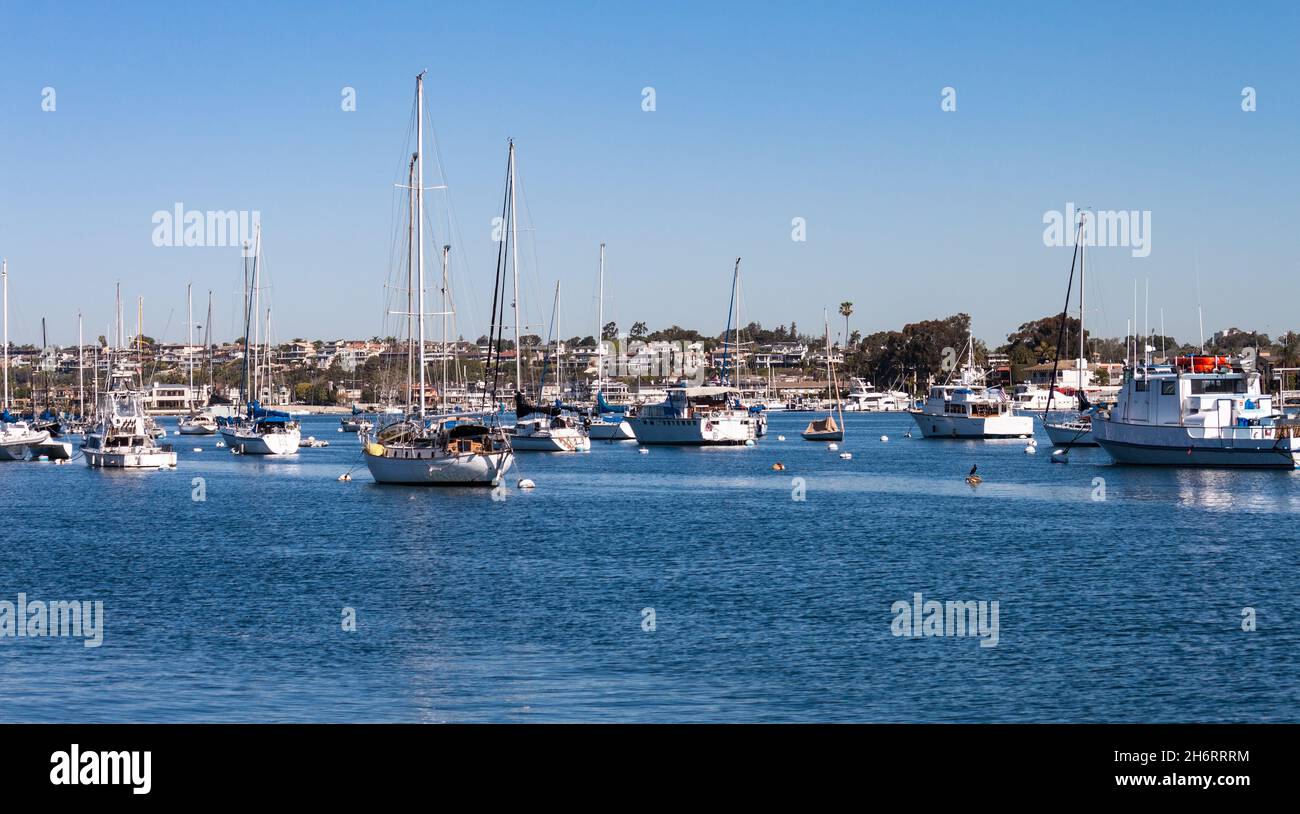 boats moored in crowded Newport Beach harbor with city landscape ...