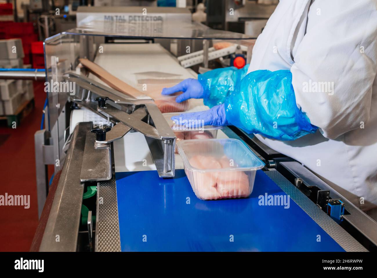 Chicken fillet production line . Factory for the production of food ...