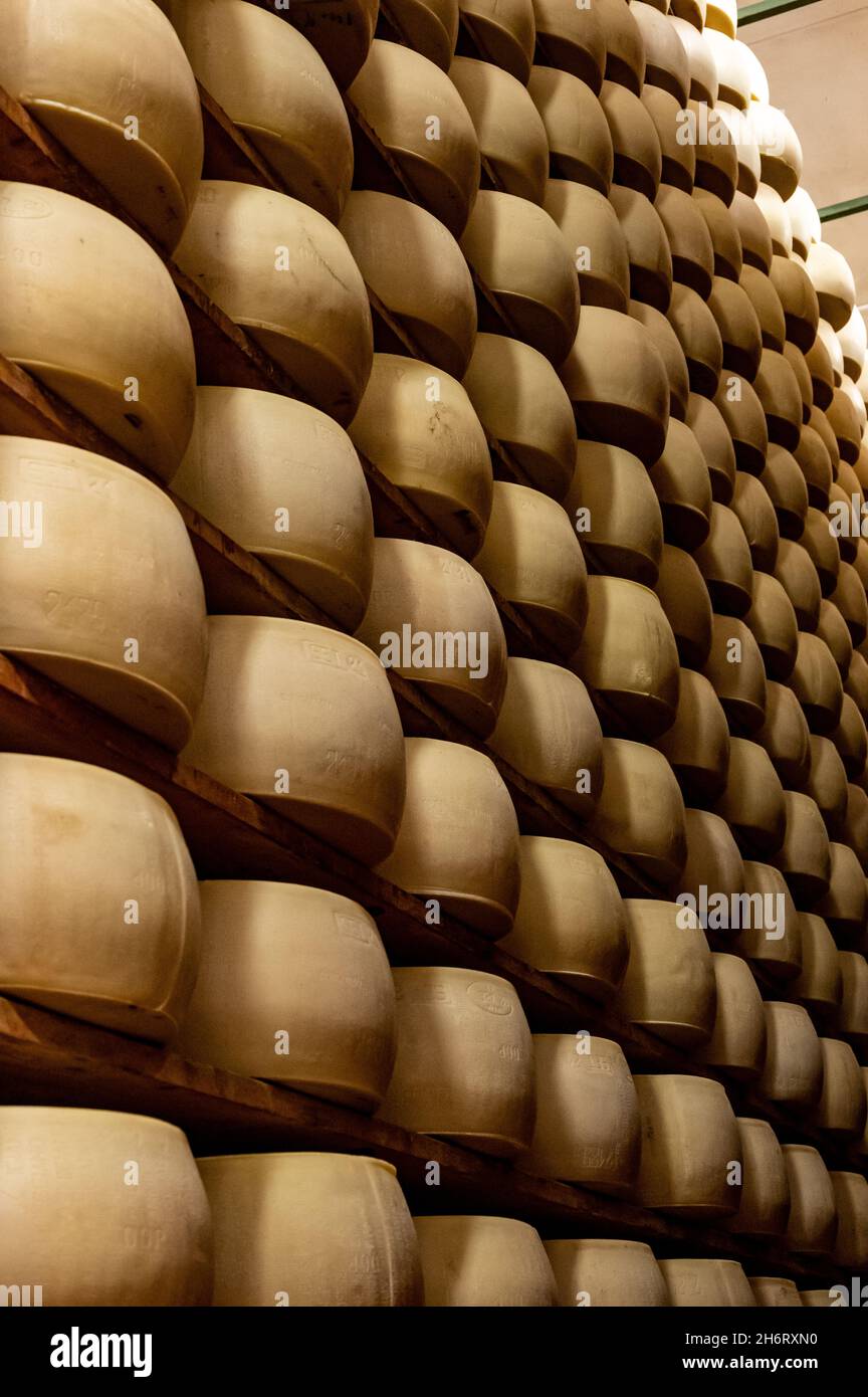 Process of making parmigiano-reggiano parmesan hard cheese on small ...