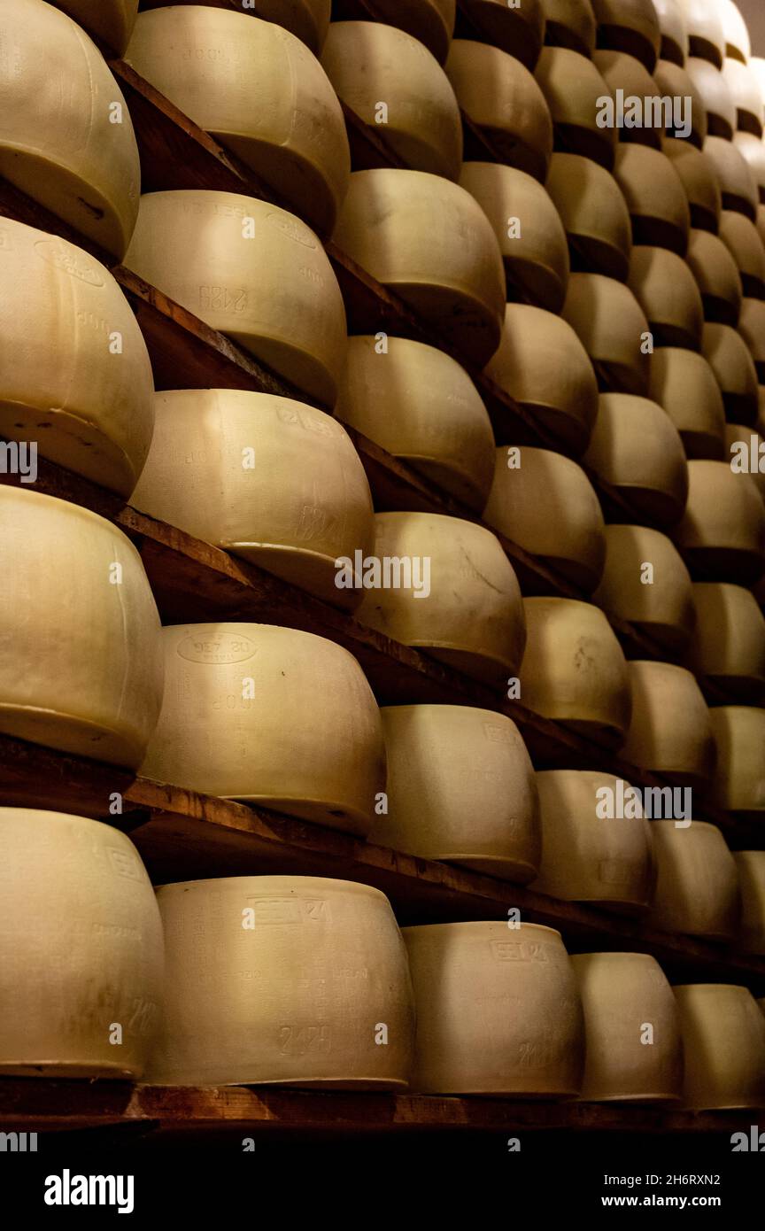 Process of making parmigiano-reggiano parmesan hard cheese on small ...