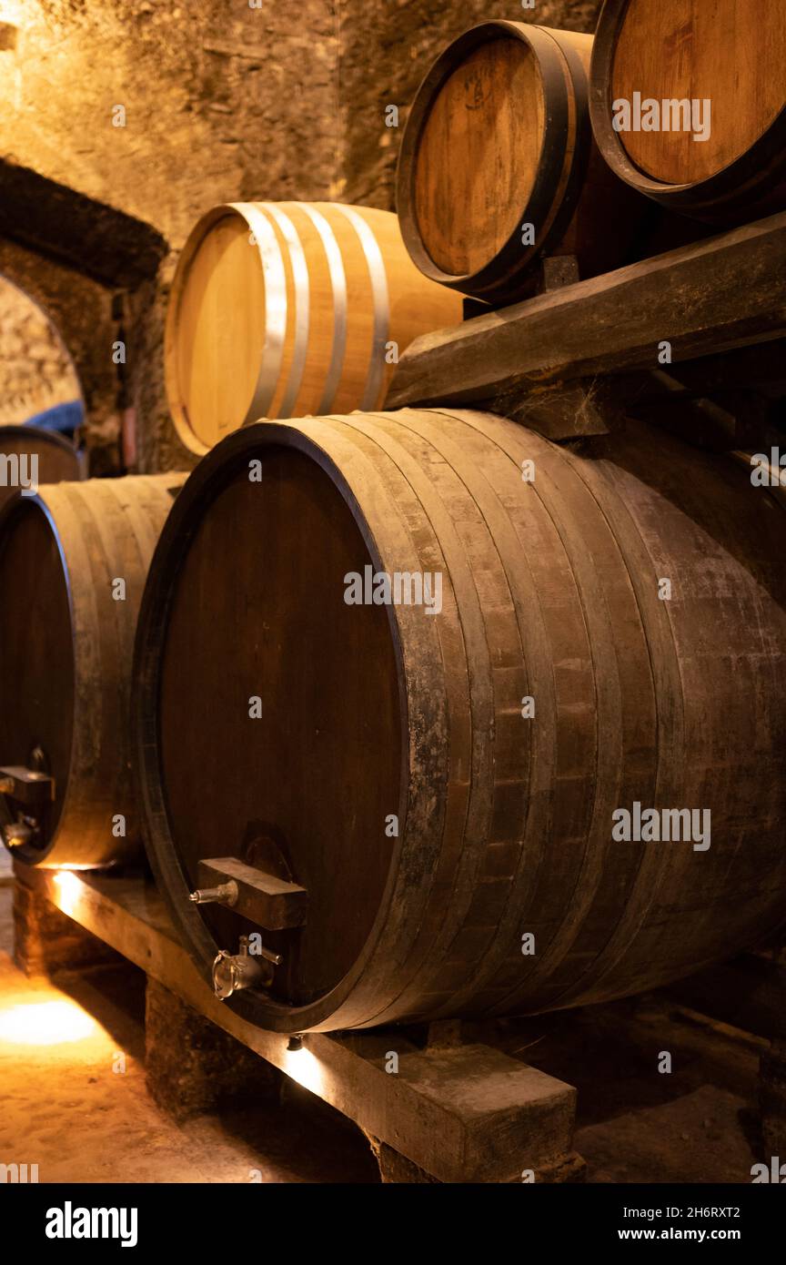 Medieval underground wine cellars with old red wine barrels for aging ...