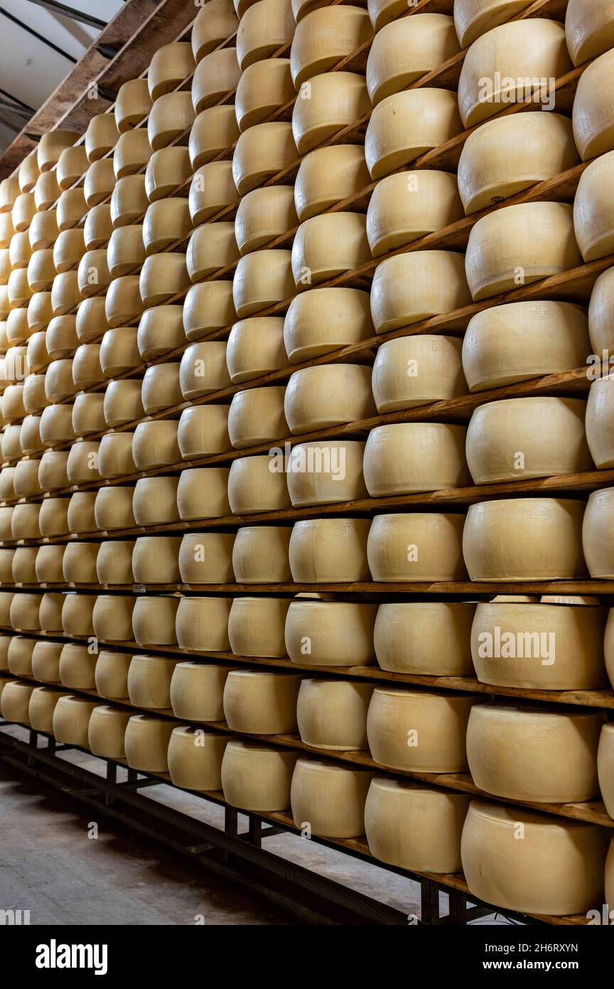 Process of making parmigiano-reggiano parmesan hard cheese on small ...
