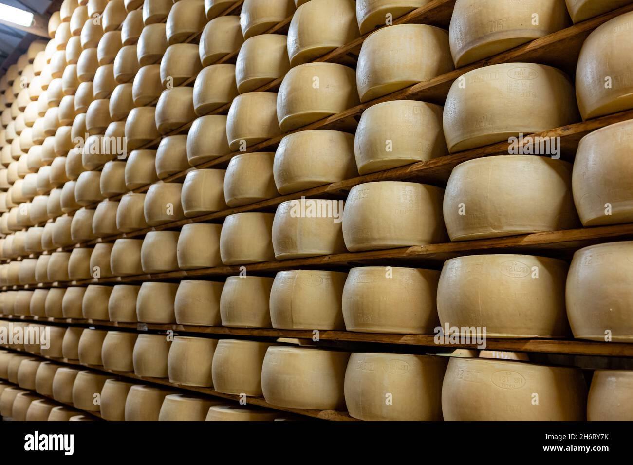 Process of making parmigiano-reggiano parmesan hard cheese on small ...