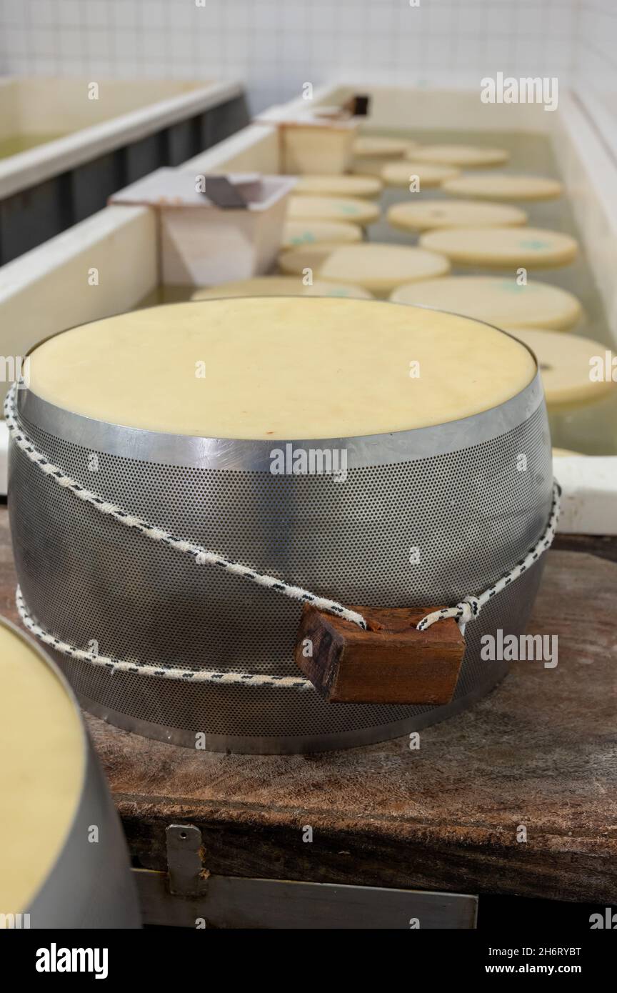 Process of making parmigiano-reggiano parmesan hard cheese on small ...