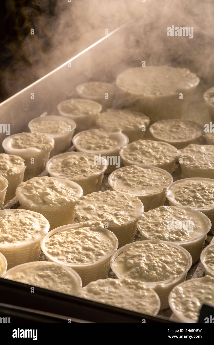 Process of making fresh white soft ricotta whey cheese early morning on ...