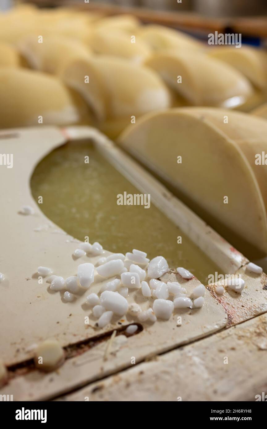 Process of making parmigiano-reggiano parmesan hard cheese on small ...