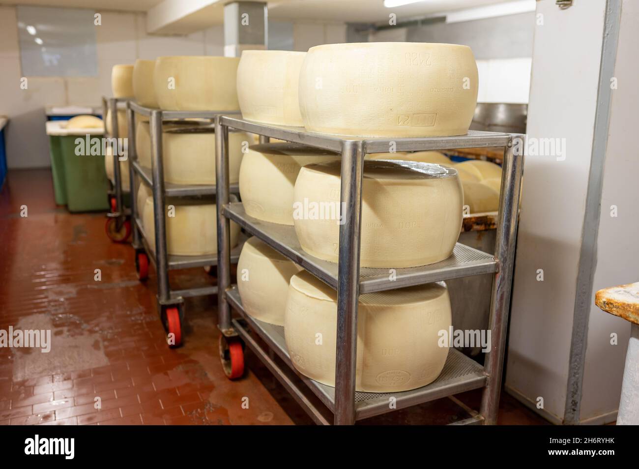 Process of making parmigiano-reggiano parmesan hard cheese on small ...