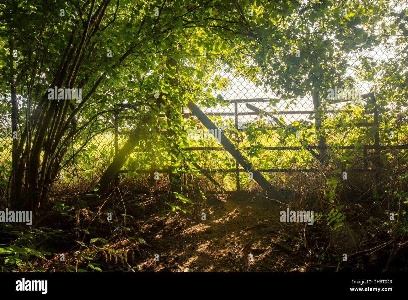 Palliative and wellbeing, closed barred gate framed by trees in a ...
