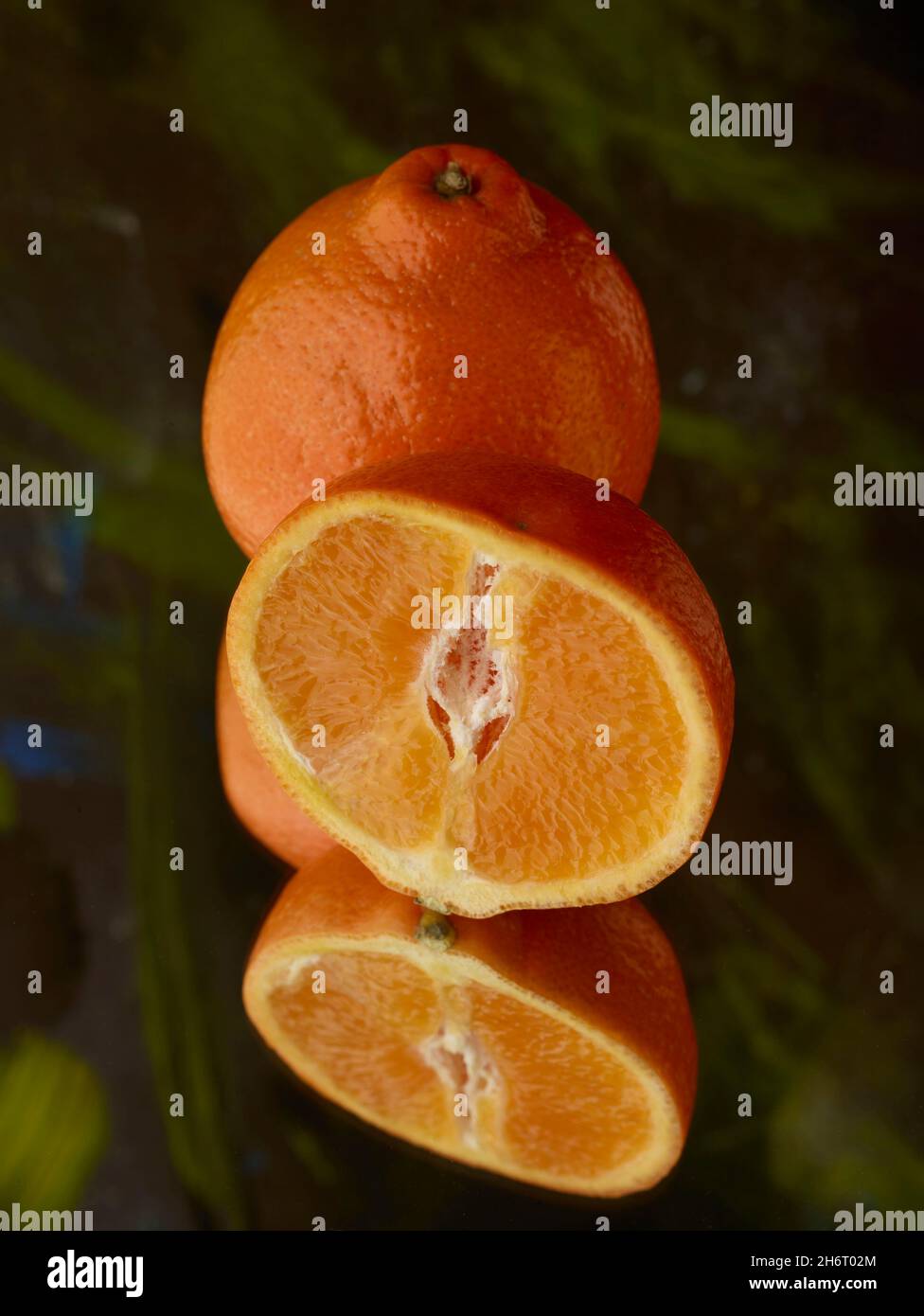 Super juicy Mineola (Grapefruit / Tangerine} natural fruit still-life ...