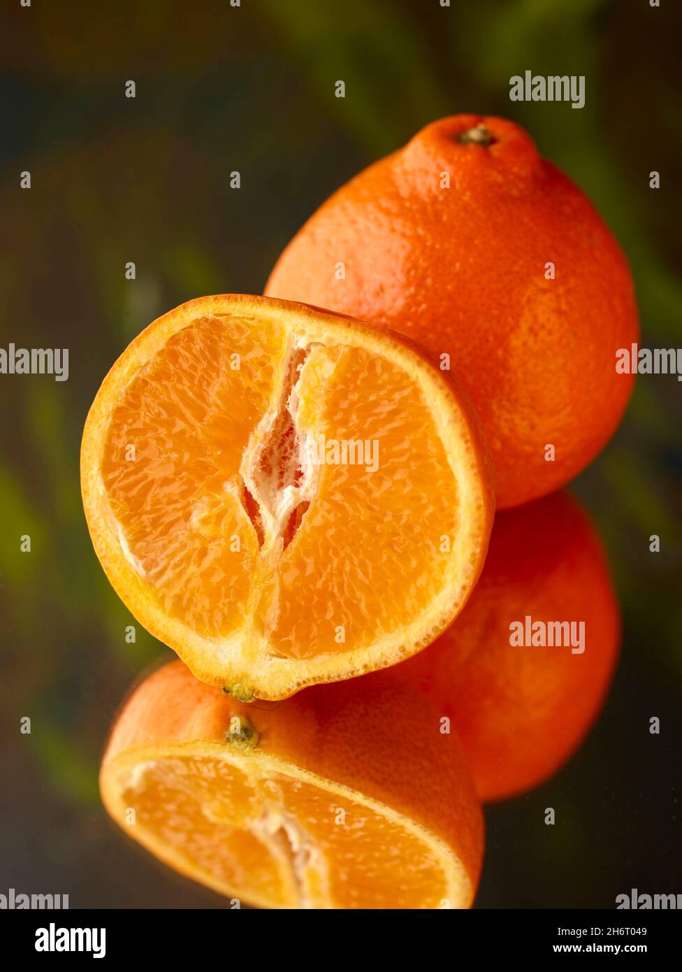 Super juicy Mineola (Grapefruit / Tangerine} natural fruit still-life ...