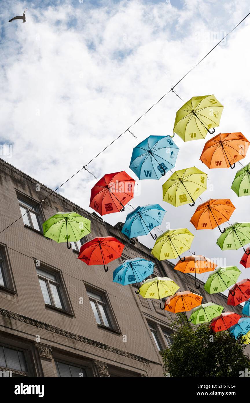 An umbrella street art project in Liverpool city center with a seagull ...