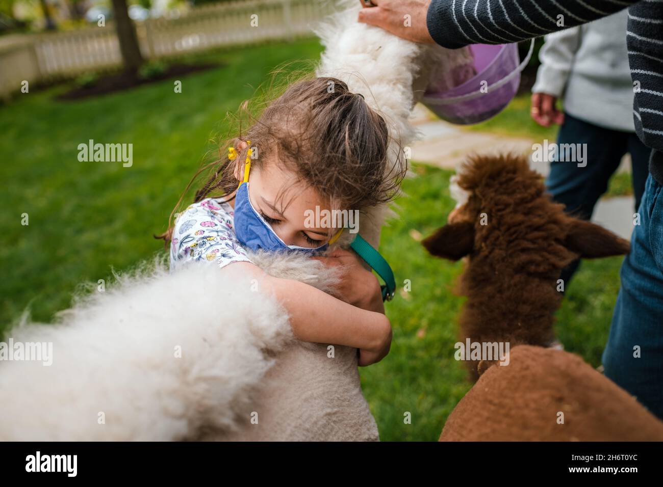 Close up of young girl hugging alpaca neck Stock Photo - Alamy