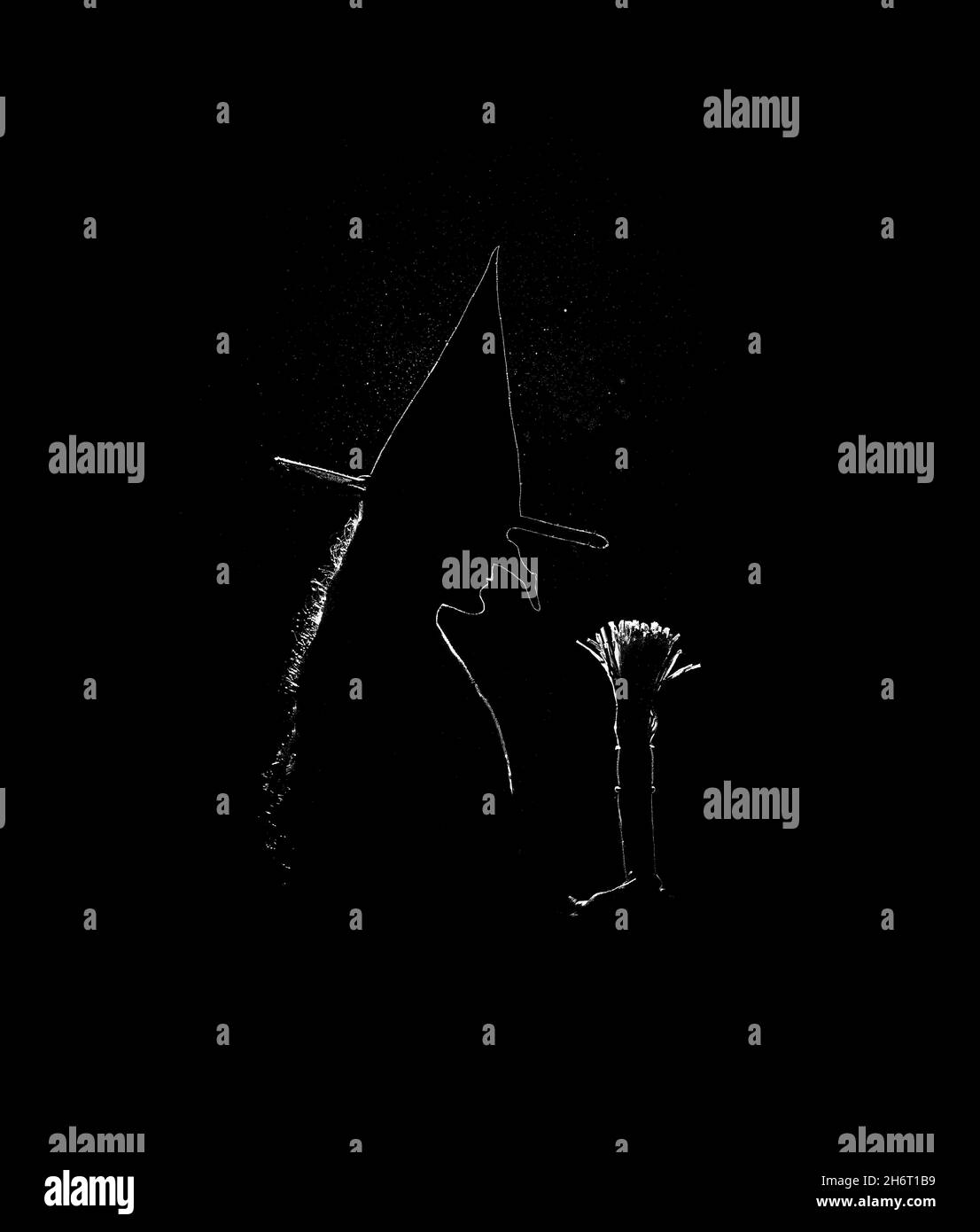 Ontario holiday Black and White Stock Photos & Images - Alamy