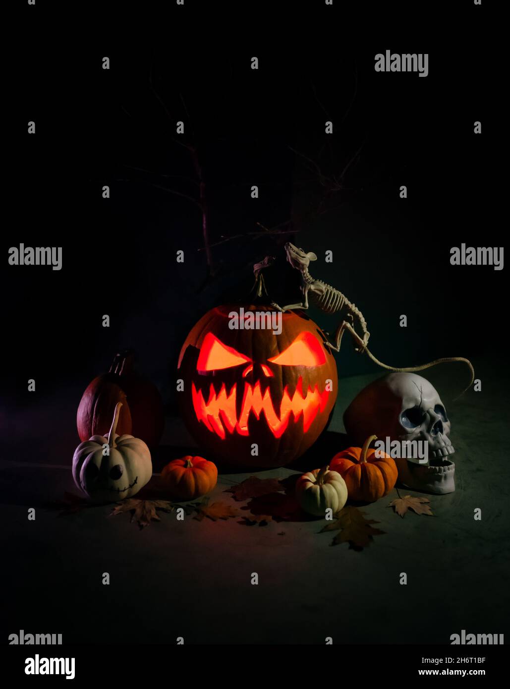 Jack skeleton hi-res stock photography and images - Alamy