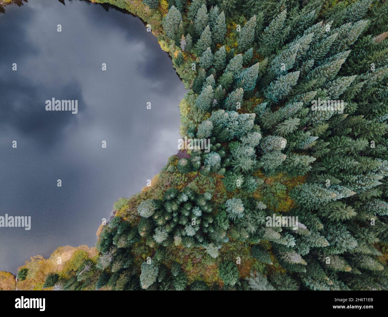 Reflective nature hi-res stock photography and images - Alamy