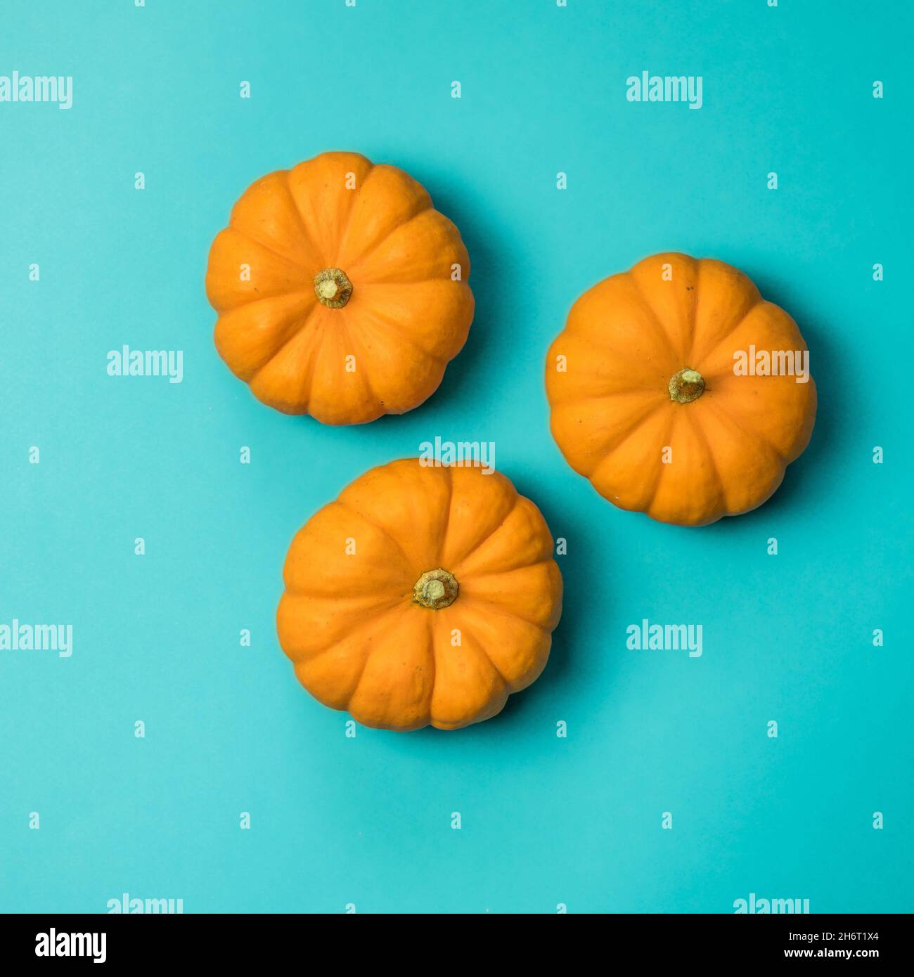 Mini orange pumpkins on teal backdrop Stock Photo - Alamy