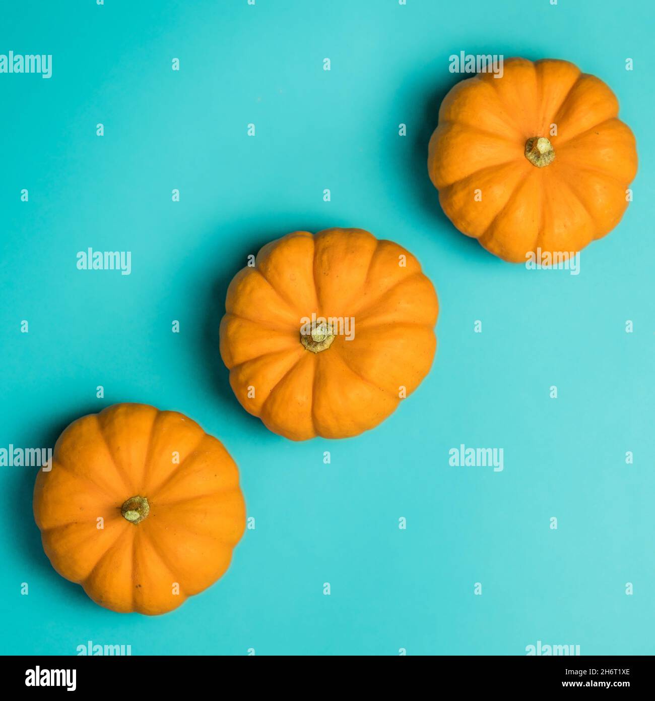 Teal pumpkins hi-res stock photography and images - Alamy
