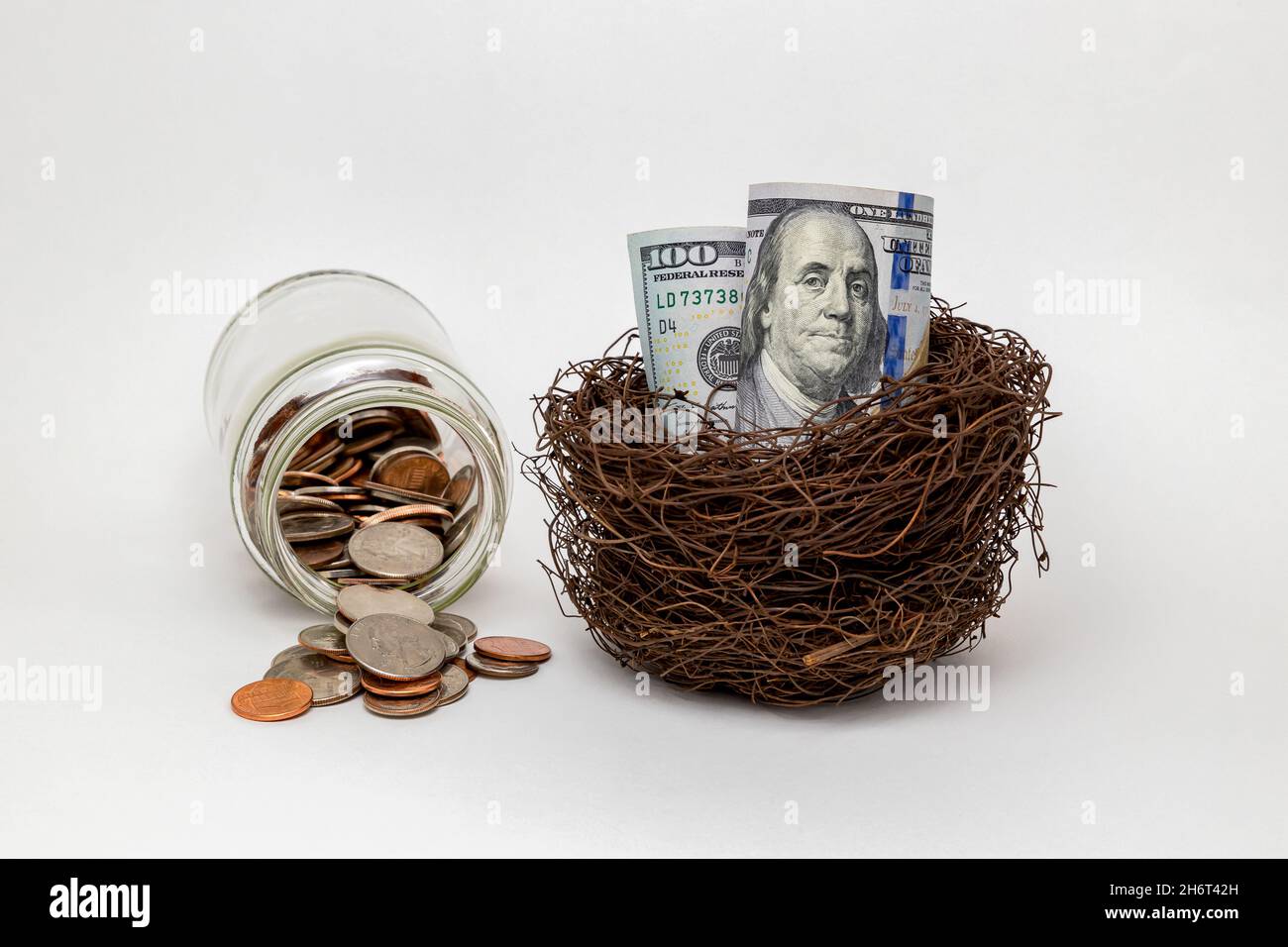 Bird nest with 100 dollar bills. Financial nest egg, retirement savings ...