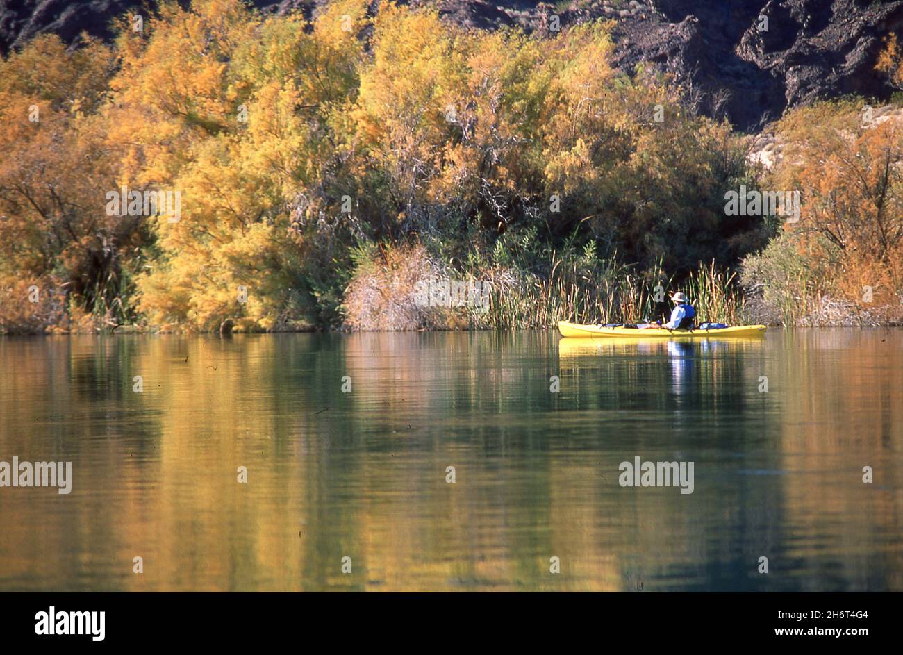 Canoeing the Colorado RIver Stock Photo - Alamy