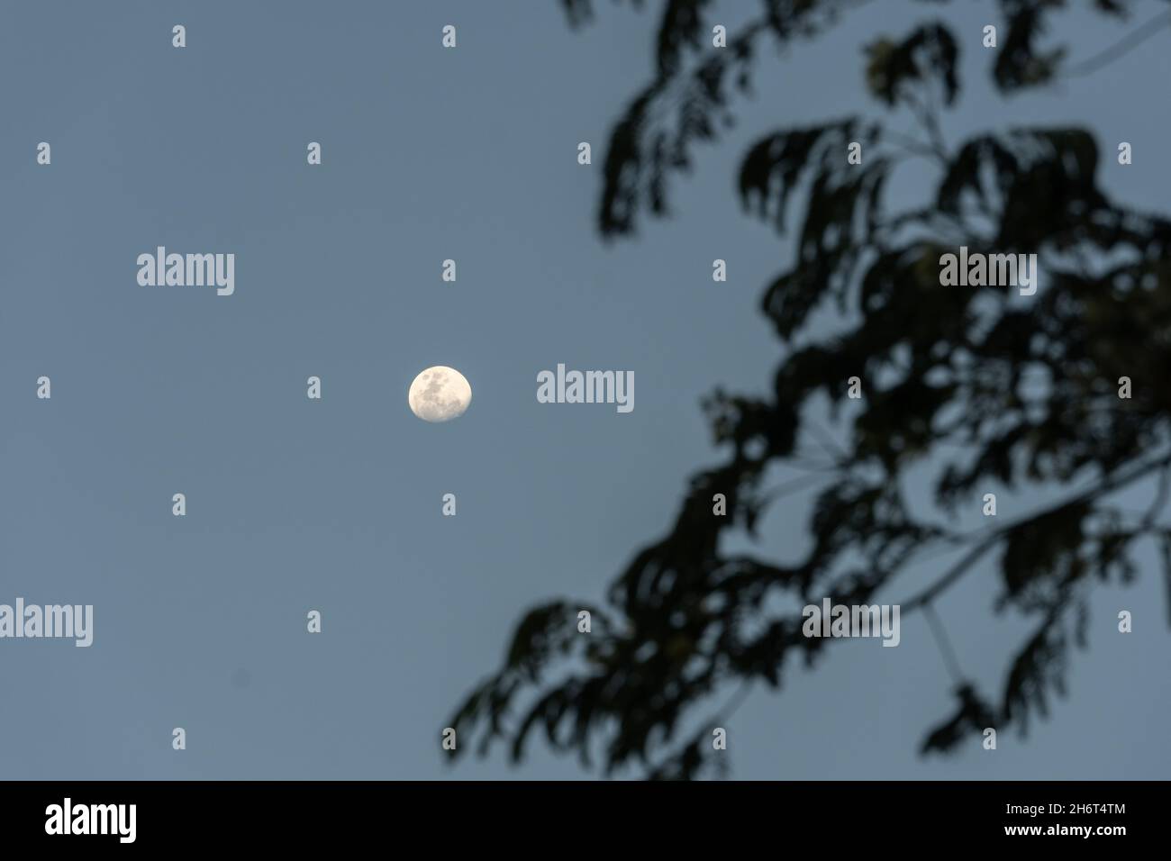 Beautiful moonrise hi-res stock photography and images - Alamy