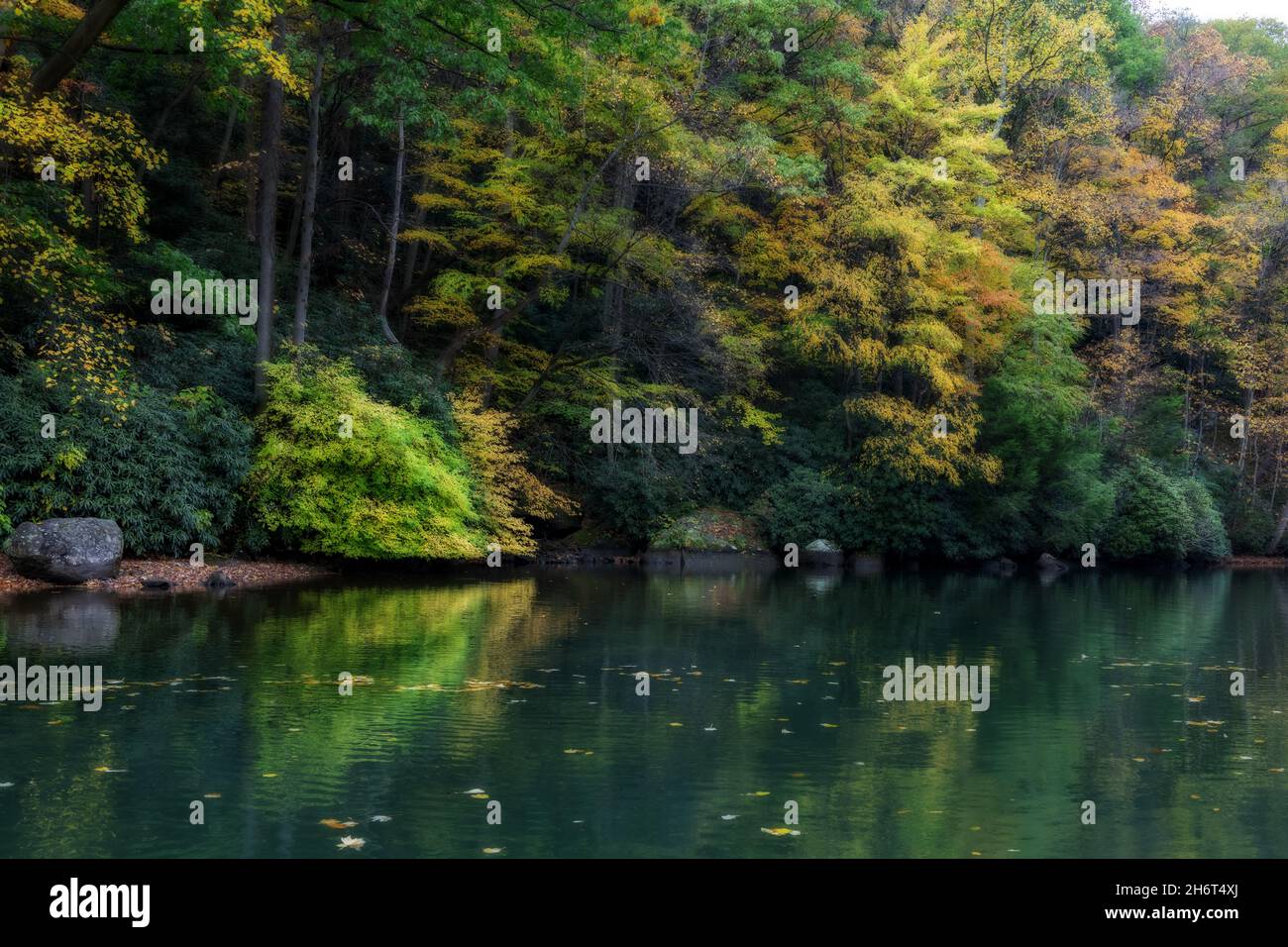 Calm pond or lake in West Virginia in autumn Stock Photo - Alamy