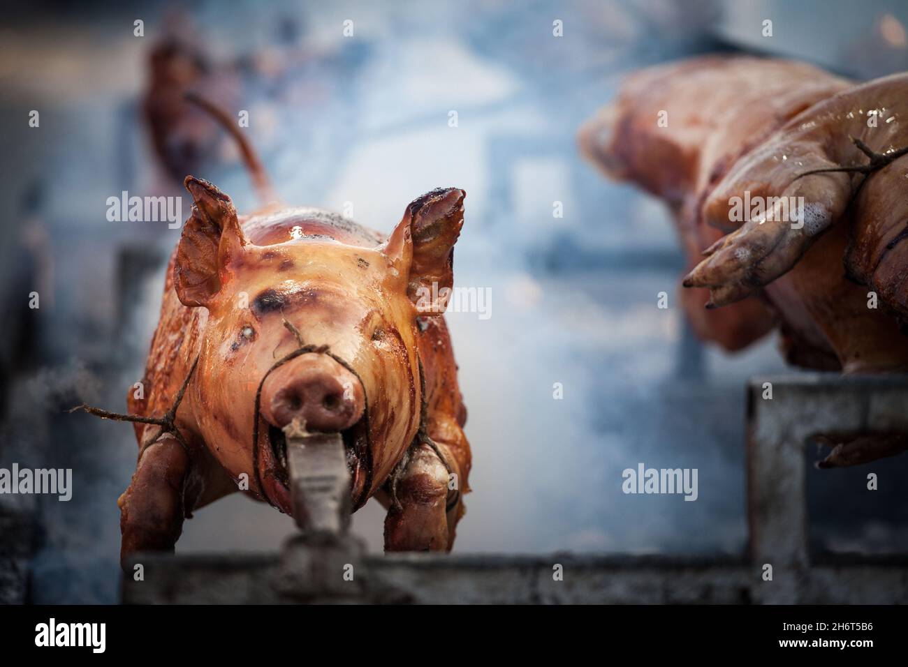 Picture of a roasting pork on display on a grill in the rural part of ...