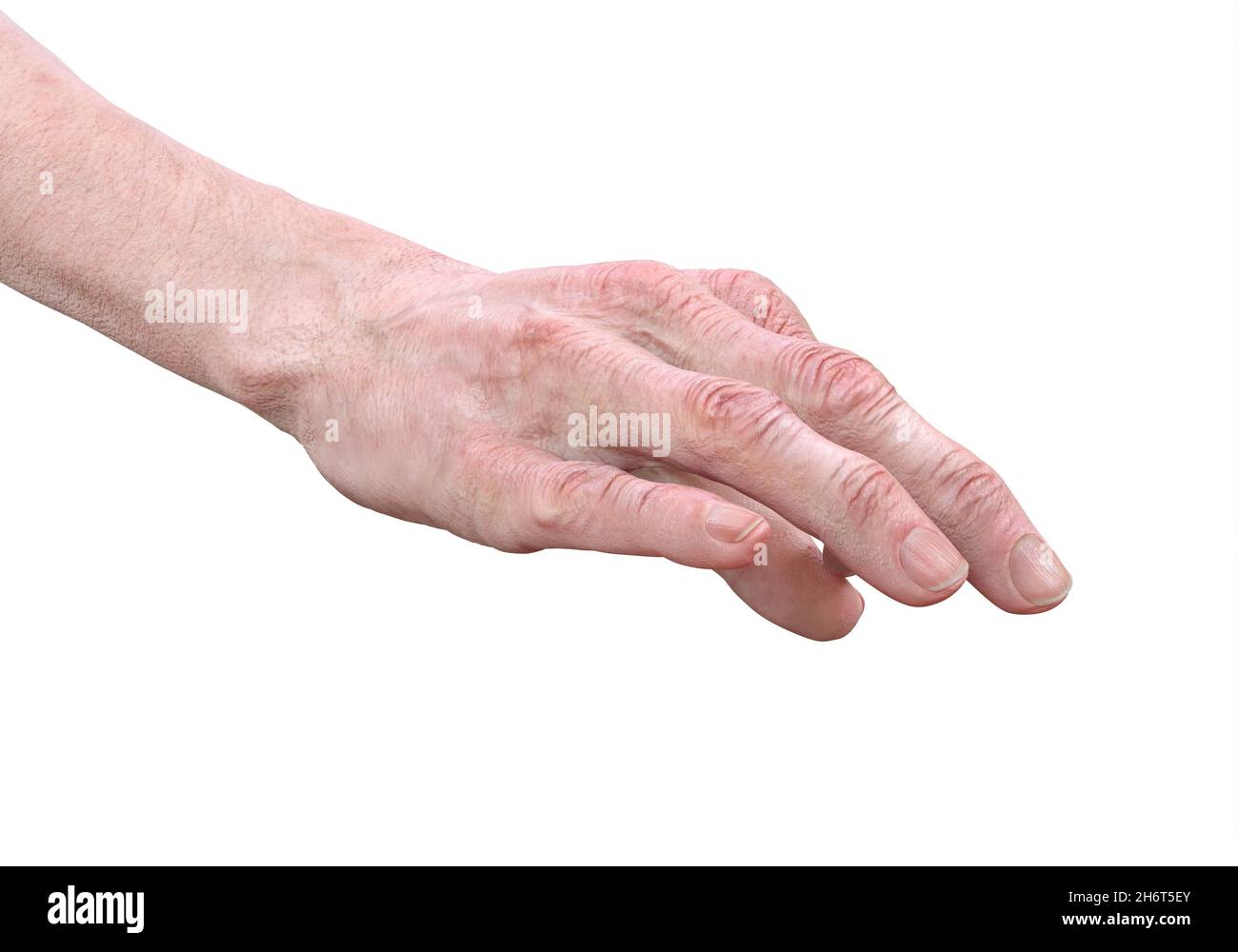 3D illustration the hand of an elderly man, an old man isolated on ...
