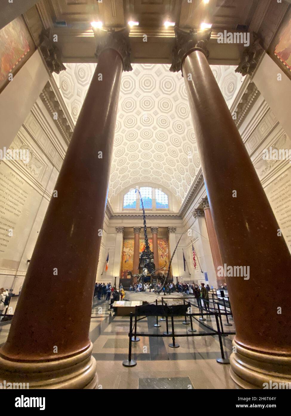 Lobby of the American Museum of Natural History Stock Photo - Alamy