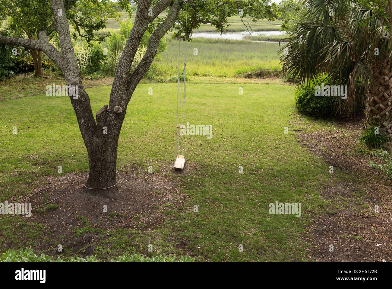 Tree swing hi-res stock photography and images - Alamy