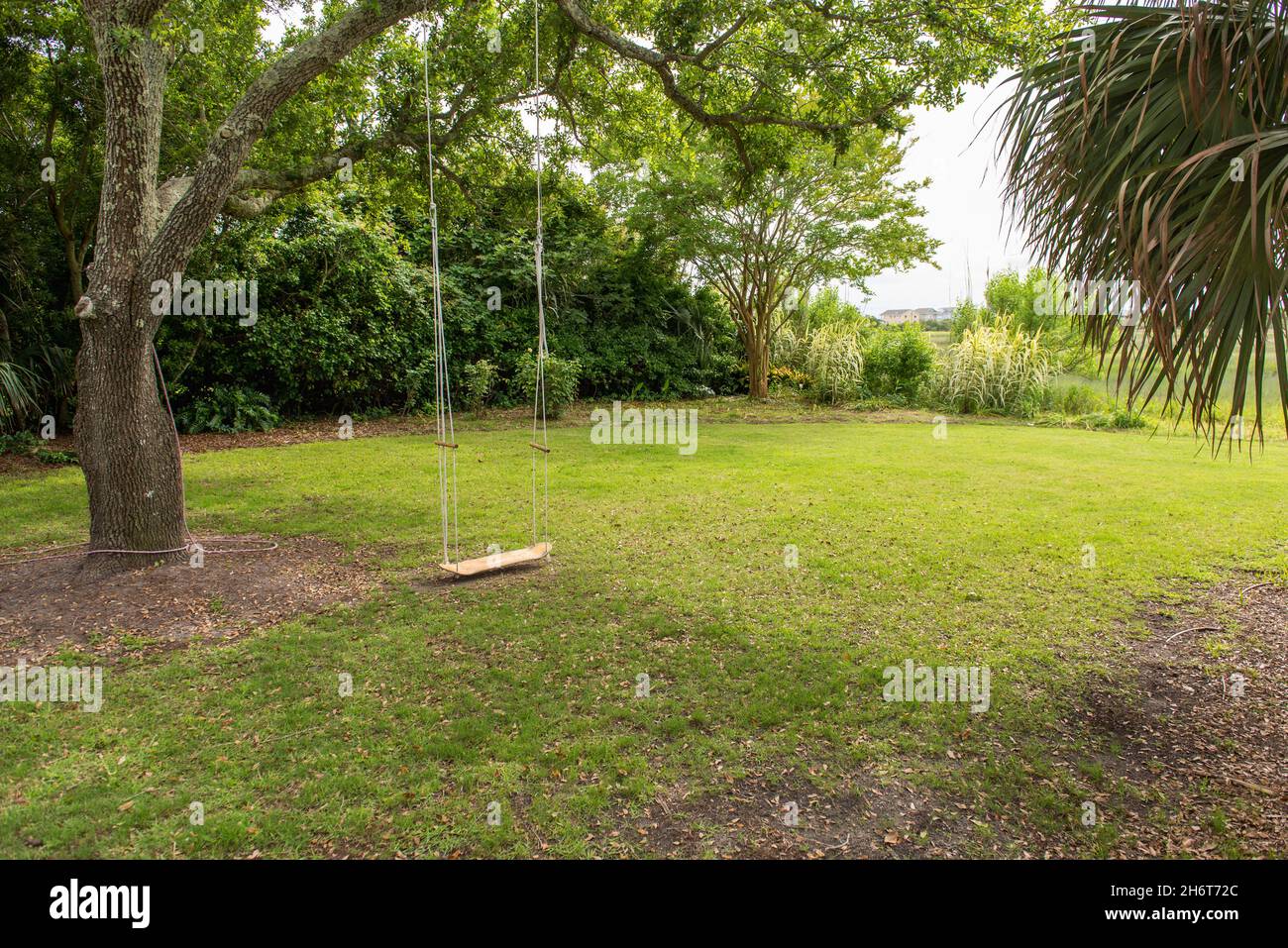 Tree swing hi-res stock photography and images - Alamy