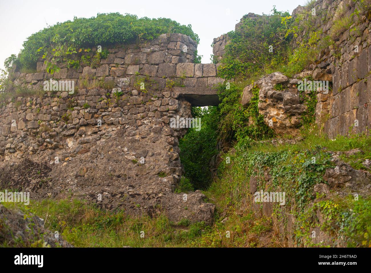 ruined wall of stone with green plants Stock Photo - Alamy