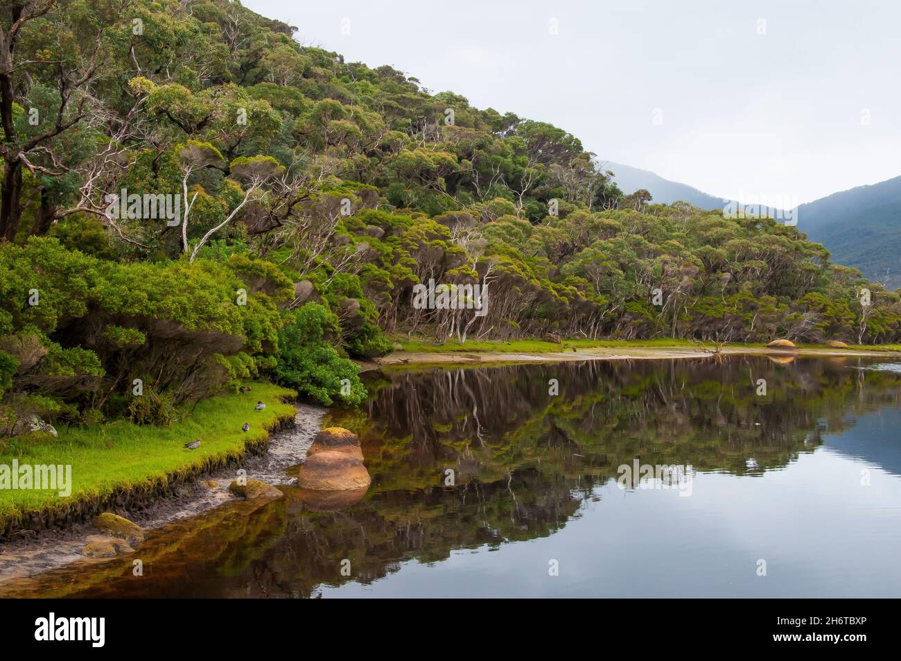 Tidal River at Wilsons Promontory National Park, Victoria, Australia ...