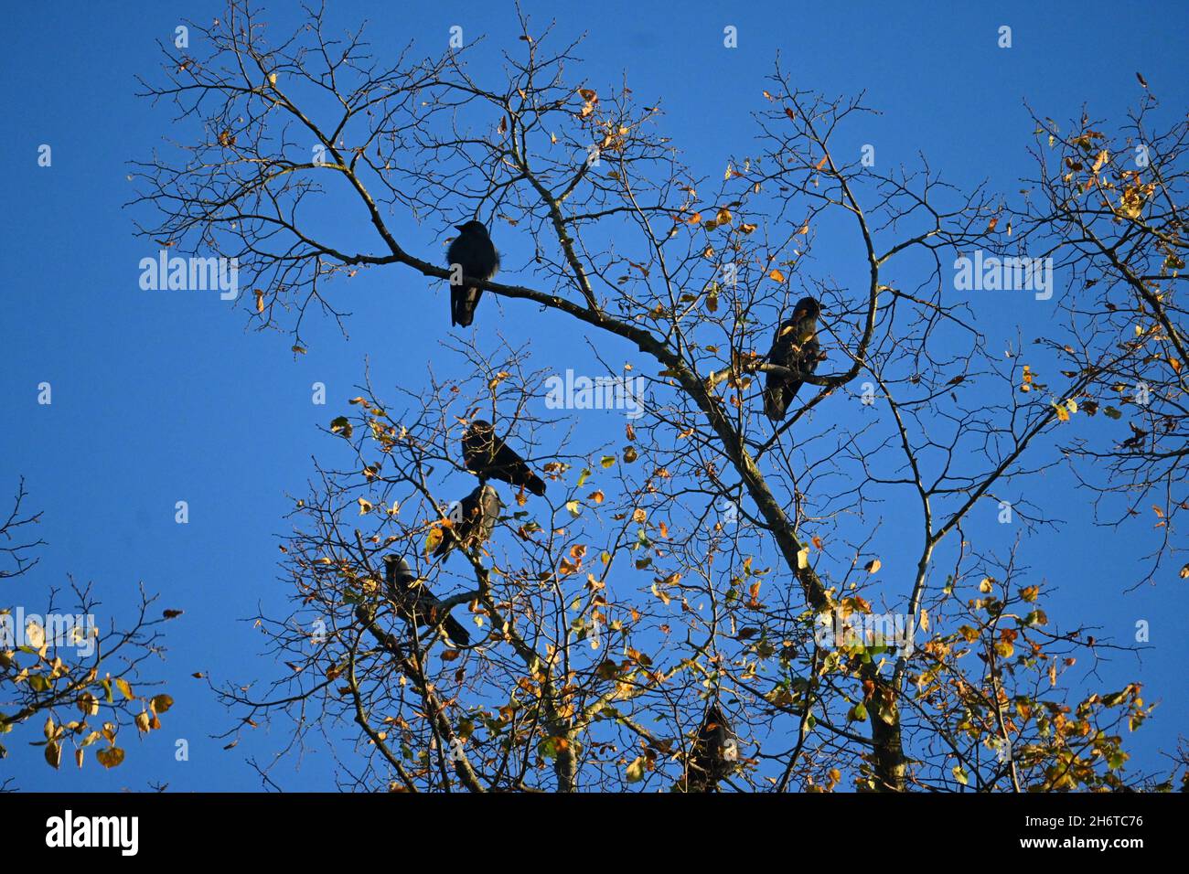 Photograf hi-res stock photography and images - Alamy