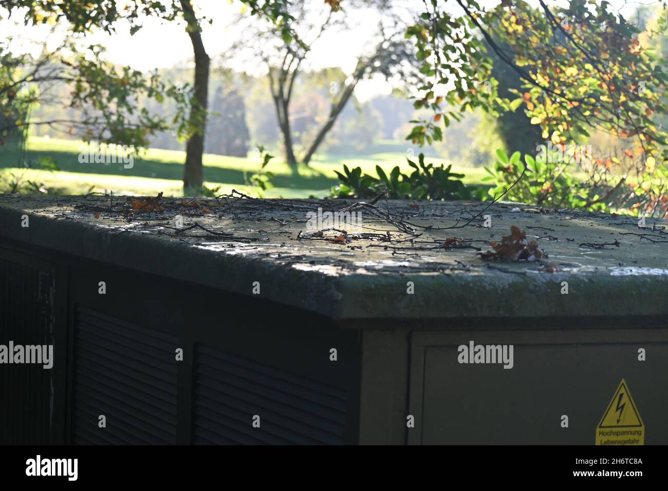Large Green Power Box with Foliage Stock Photo - Alamy