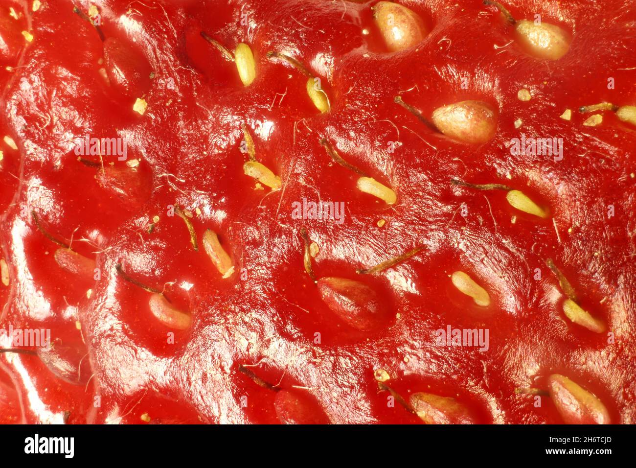 Strawberry macro close up hi-res stock photography and images - Alamy