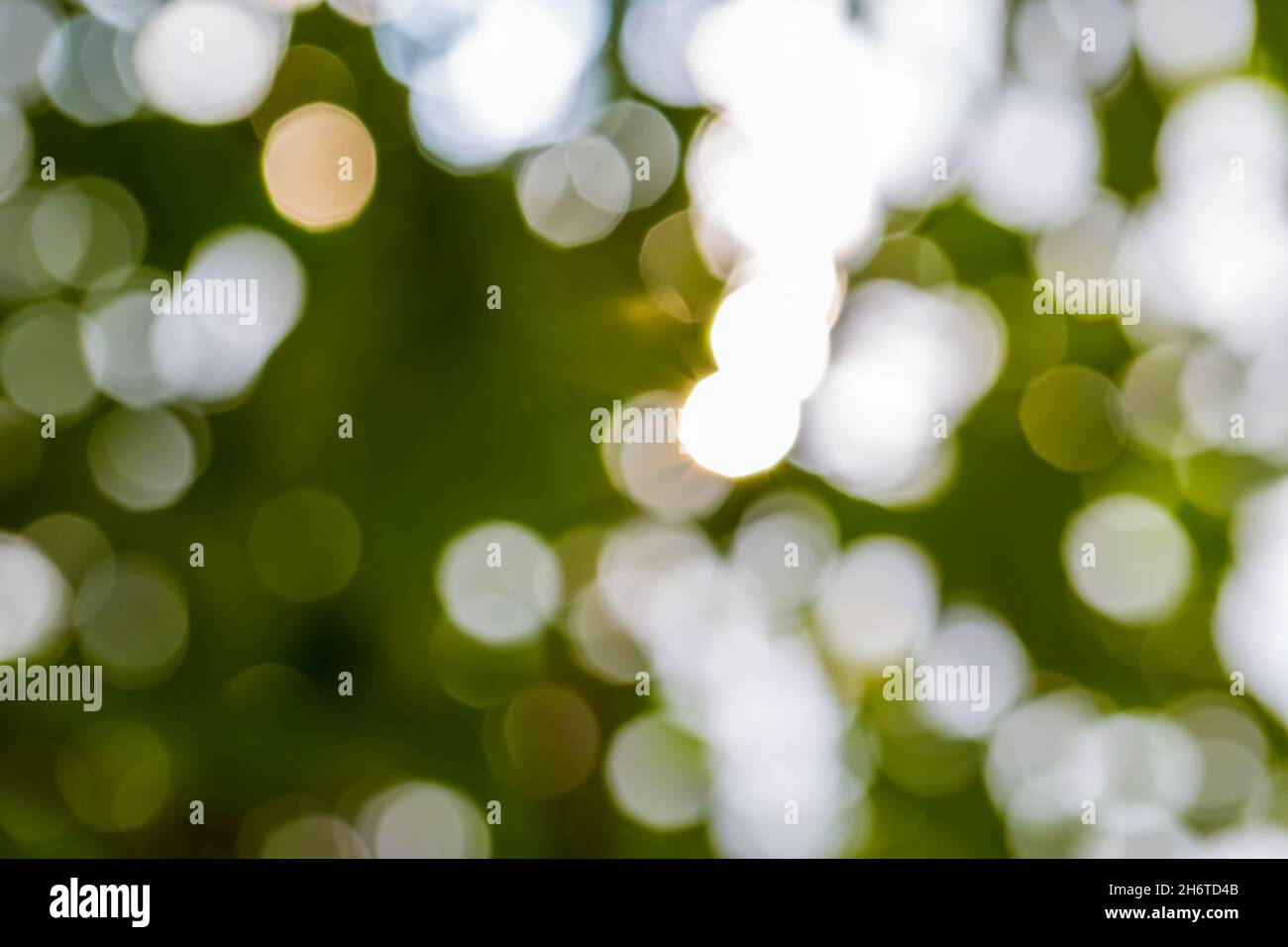 green background bokeh from nature use for background Stock Photo - Alamy