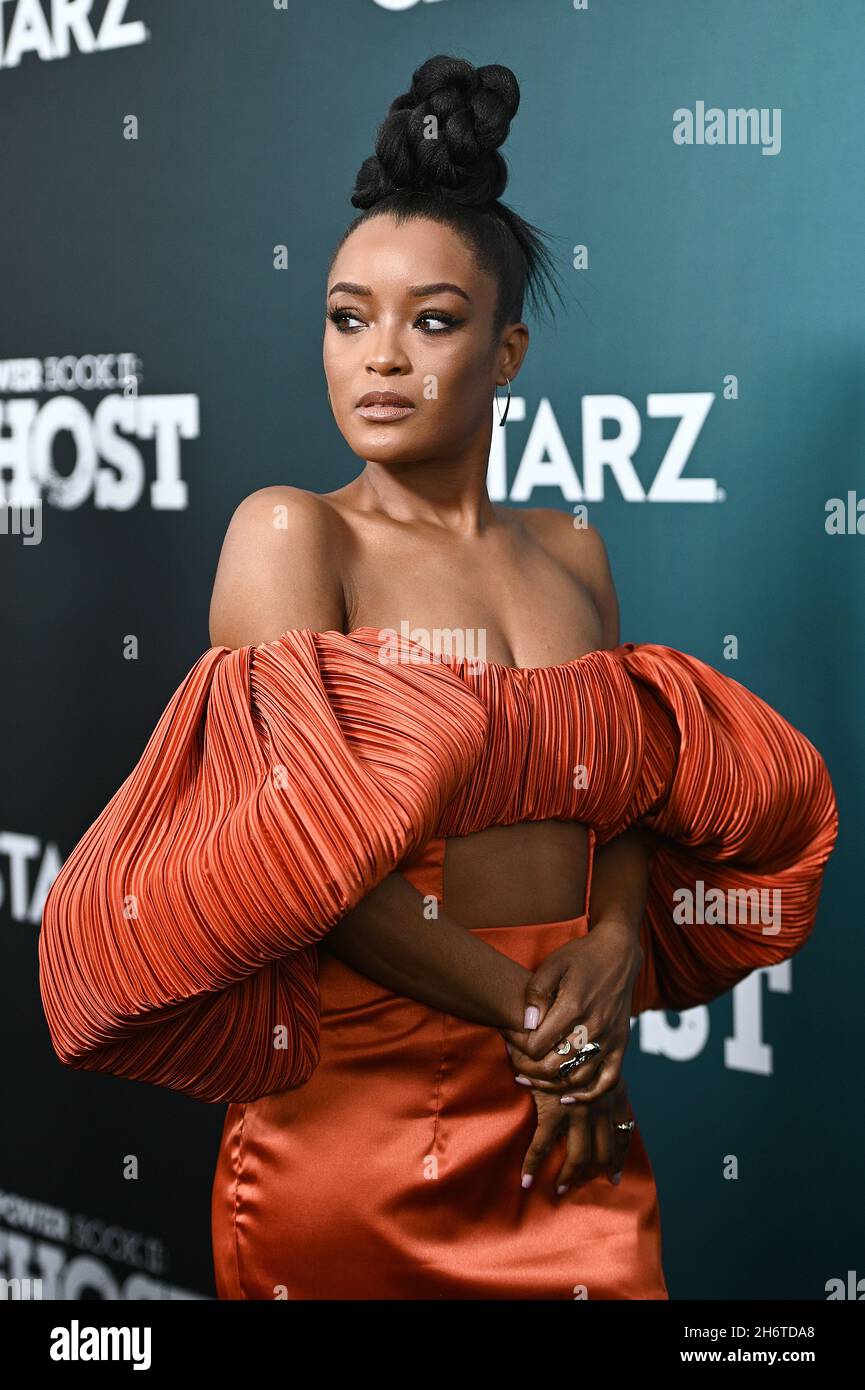 New York, USA. 17th Nov, 2021. LaToya Tonodeo attends the "Power Book ...