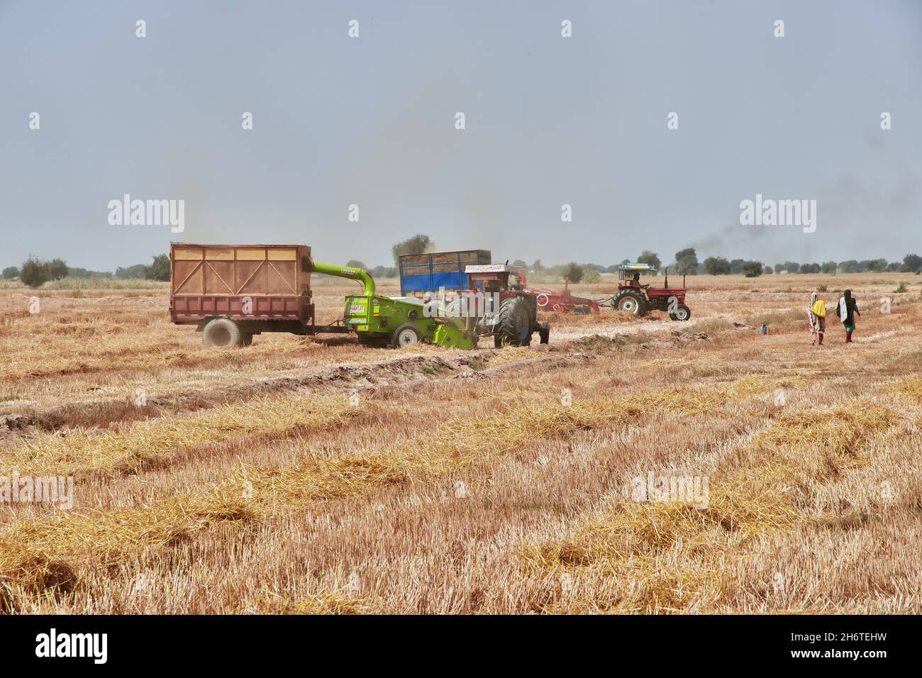 Derawar, Pakistan - 26 Mar 2021: Rural life close Derawar fort in ...