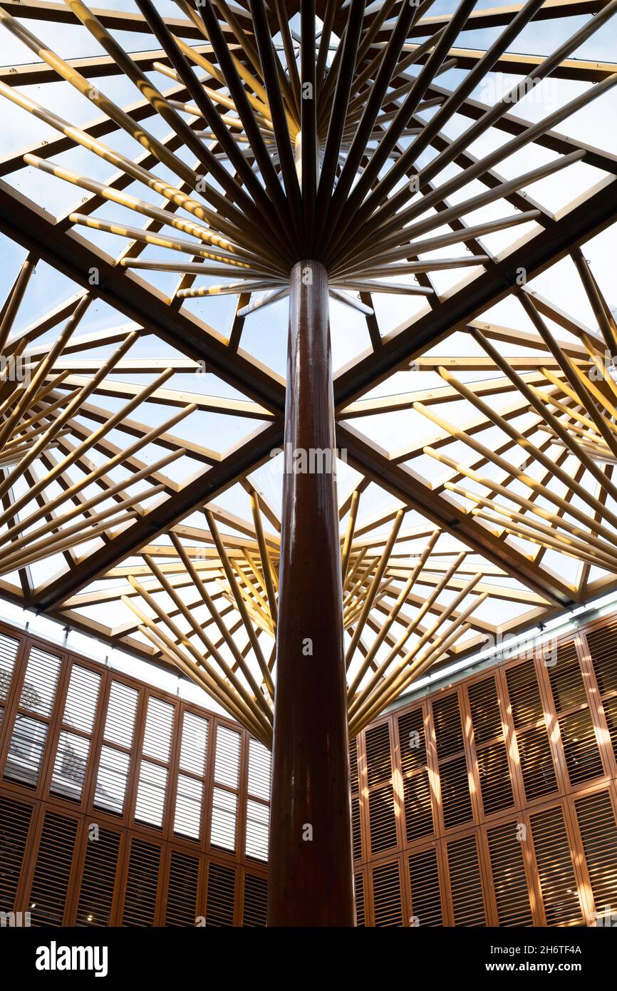 Roof construction pillars hi-res stock photography and images - Alamy