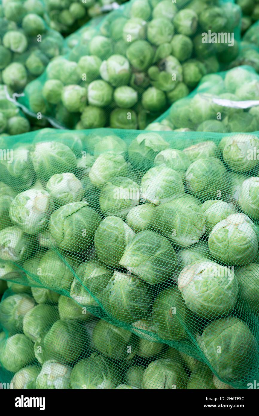 Cabbage nets hi-res stock photography and images - Alamy