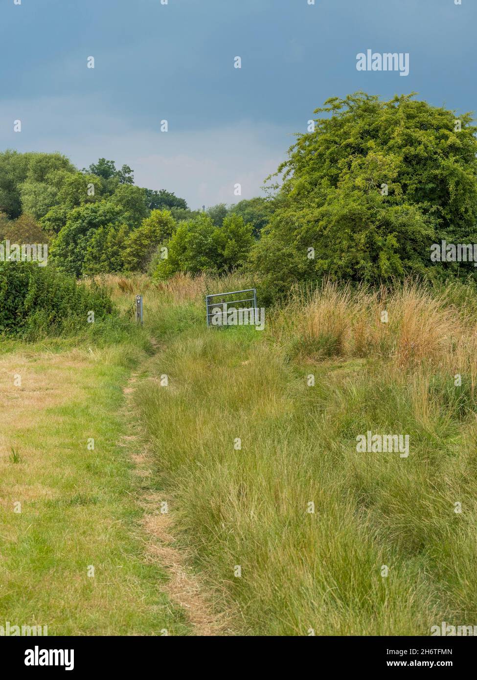 The Ridgeway National Trail, Historic Road, North Stoke, Oxfordshire ...