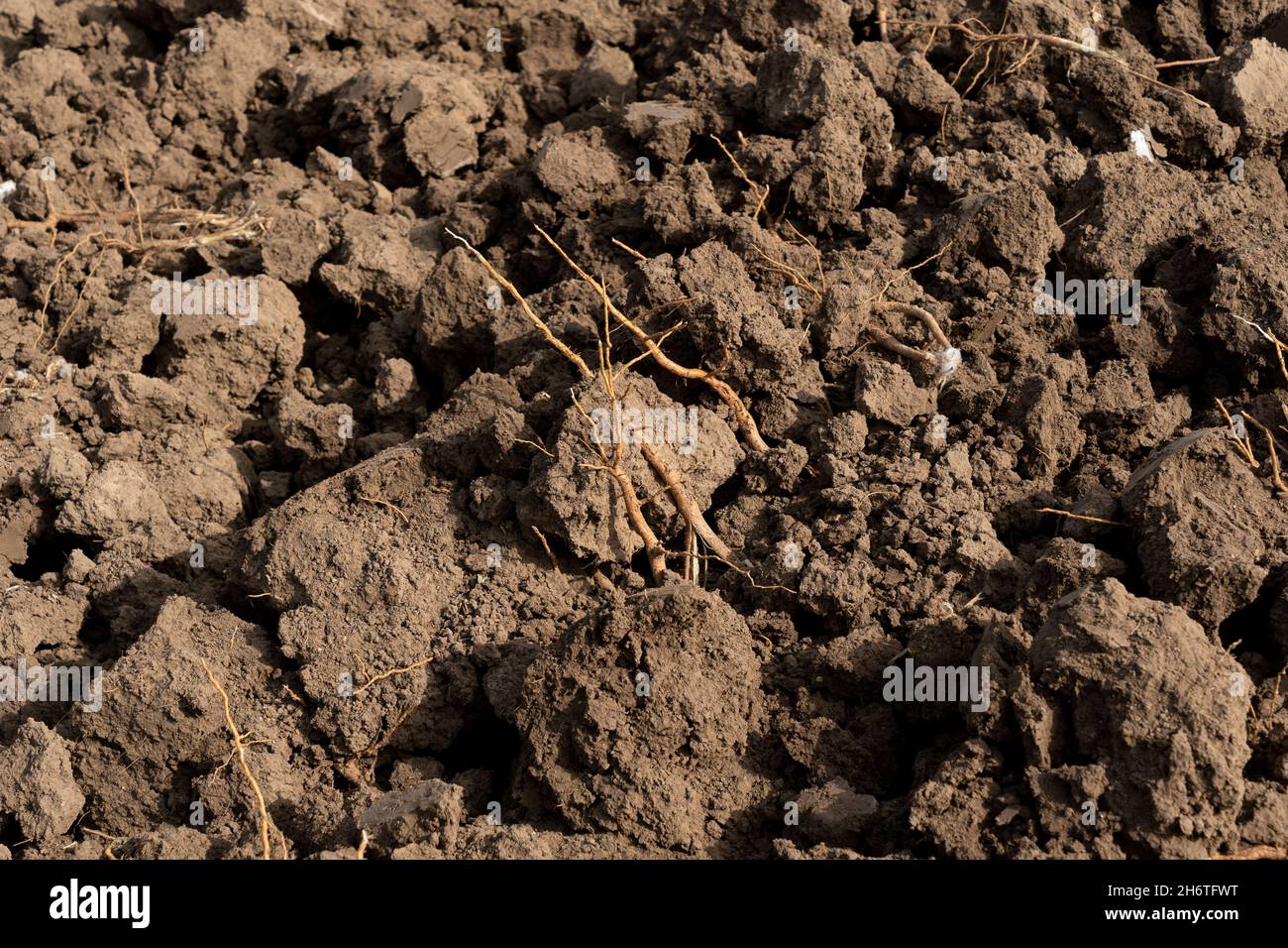 Mud pattern waste soil hi-res stock photography and images - Alamy