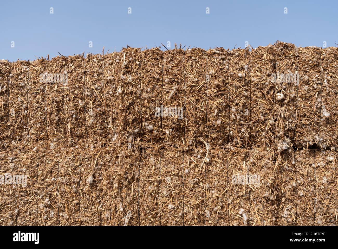 Pulled cotton packed in a field waiting to be loaded Stock Photo - Alamy