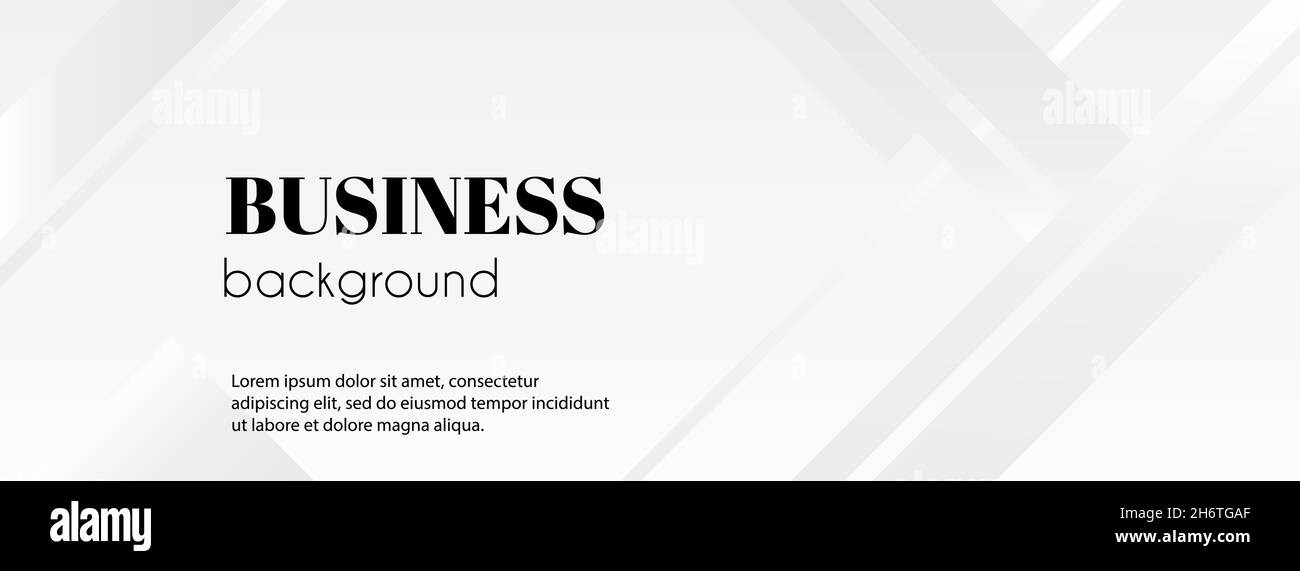 Abstract business background. Minimal long white banner template with ...