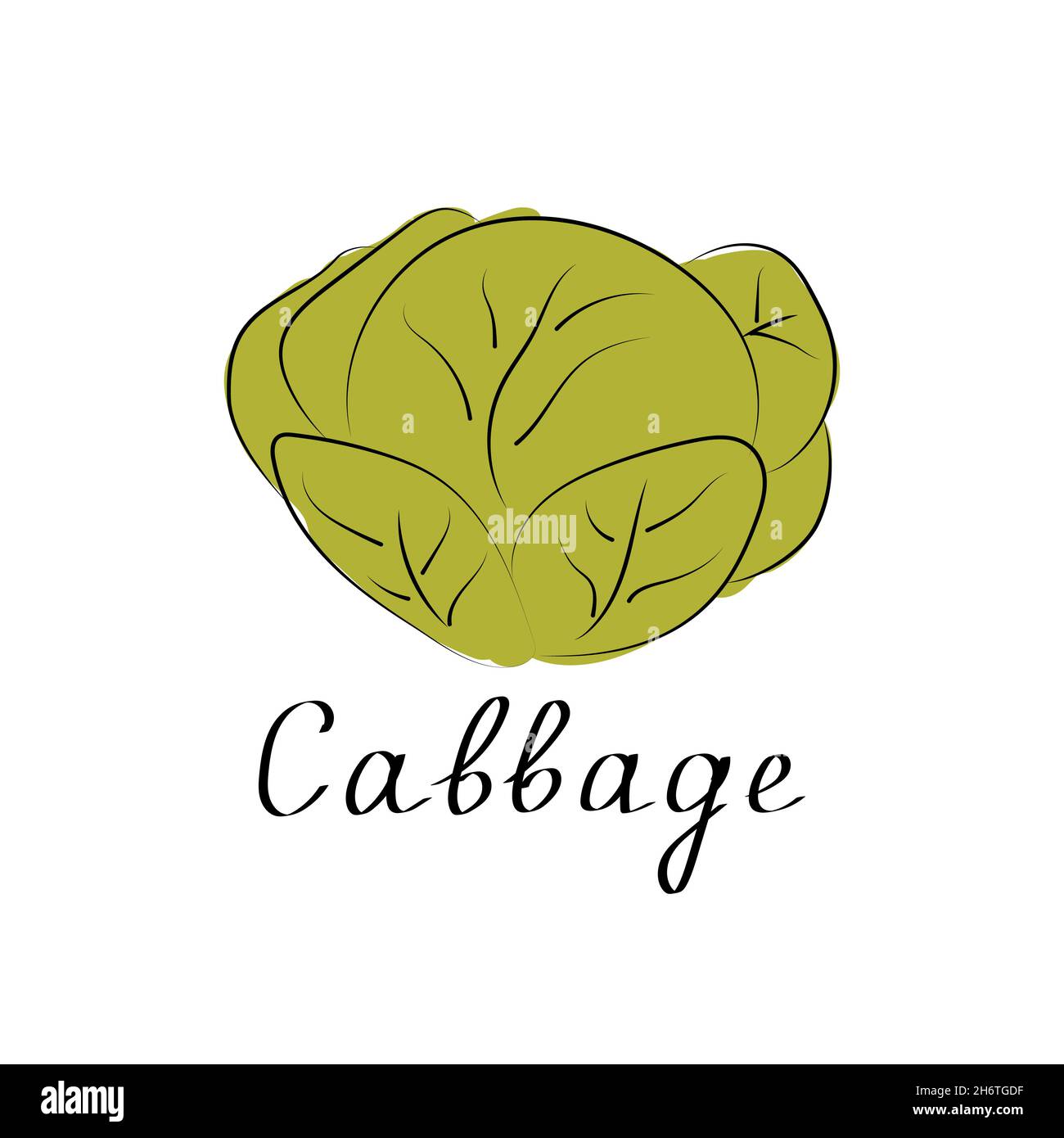 Cabbage icon in flat style. Isolated object. Cabbage logo. Organic ...